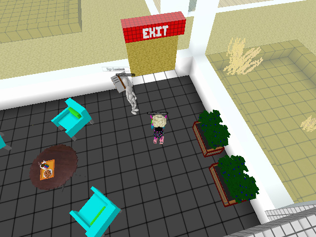 Captured by PrettyMuggy | Voxels