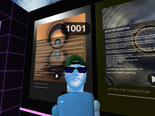 Captured by GhostAgent | Voxels